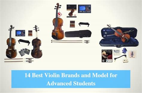 14 Best Violin Brands And Model For Advanced Students Reviews 2022 Cmuse