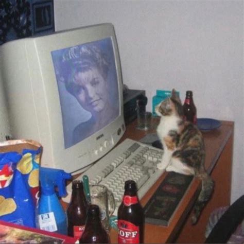 ‎ethan Murrays Profile • Letterboxd