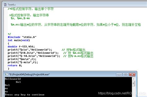 c语言之格式控制字符与输入输出函数 puts 控制格式 csdn博客
