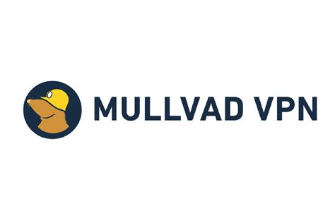 Mullvad Vpn Im Test Können Seine Leistungen überzeugen