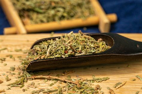 中药侧柏叶的图片