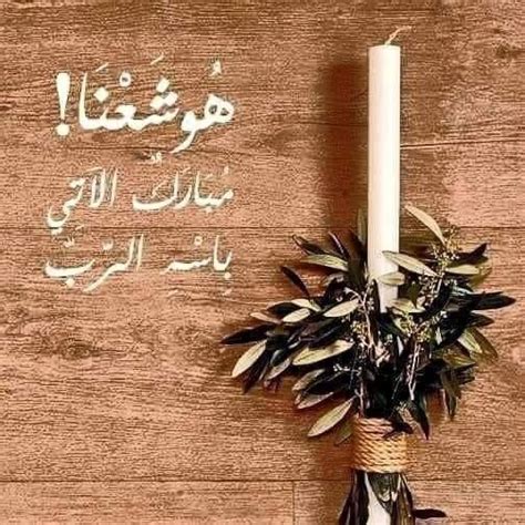 أخوية شباب مريم حلب شعنينة مباركة للجميع كلمة شعانين عبرانية من هو شيعه نان ومعناها يارب