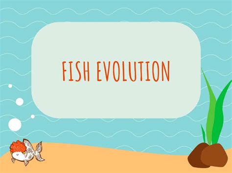 Fish Evolution How Fish Became One Of Earths Most Successful Creatures