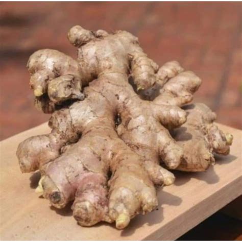 Jual Jahe Emprit Segar 1kg Shopee Indonesia