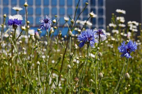 Safeguarding Biodiversity Yitgroup Com