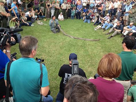 Florida Wc Kicks Off 2013 Python Challenge Outdoorhub