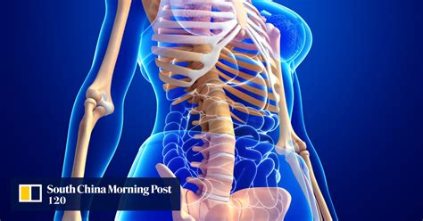 How To Prevent Osteoporosis A Loss Of Bone Density And Why It Is