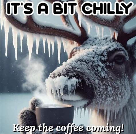 Pin By Nina Patti On Winter Good Morning Funny Pictures Cold Weather