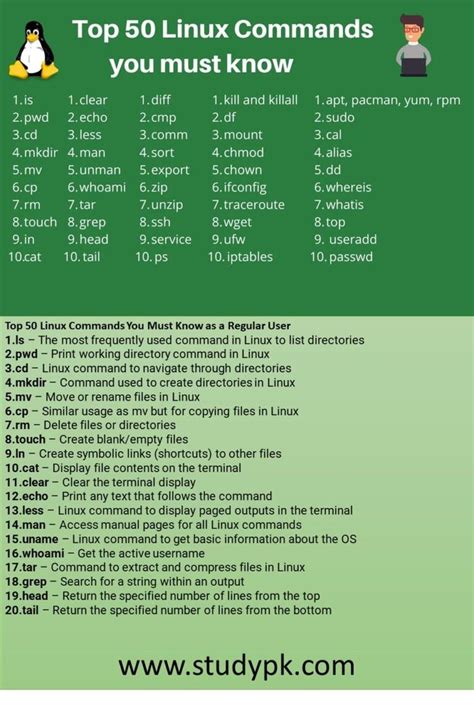 Top 50 Linux Commands You Must Know With Example Studypk Learn