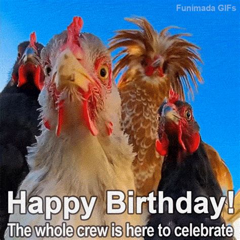 Funny Happy Birthday S Hilarious Memes And Animations