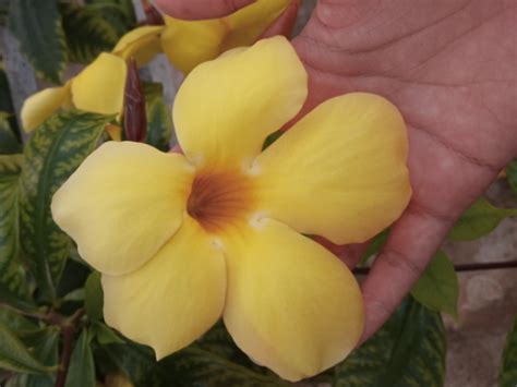 Teste De Autoestima Quizur