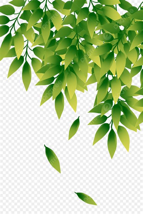 Leaf Shading Png Picture Leaf Shading Fresh Beautiful Green Png