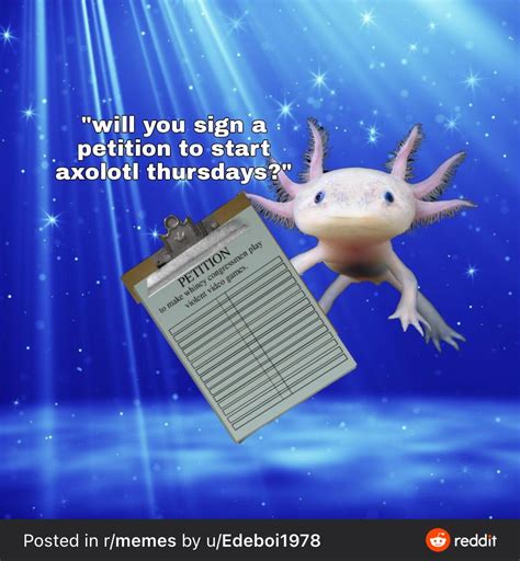Funny Axolotl Memes Axolotl Meme Discover Viral Trends And Funny