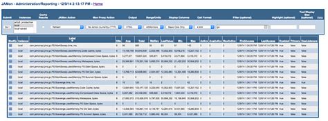 Monitoring Spring With Jamon