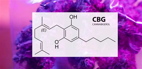 What Is Thc And How Does It Work Nuggmd