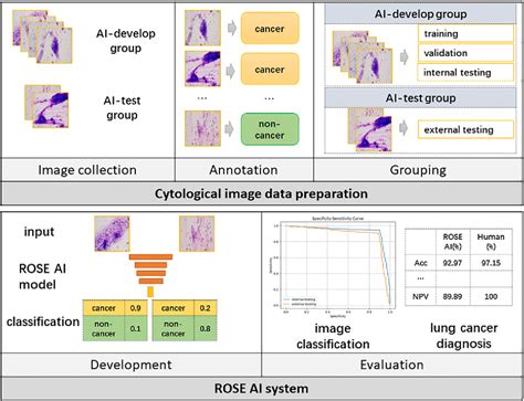Figure 1 From The Application Of Arti ﬁ Cial Intelligence For Rapid On Site Evaluation During ﬂ