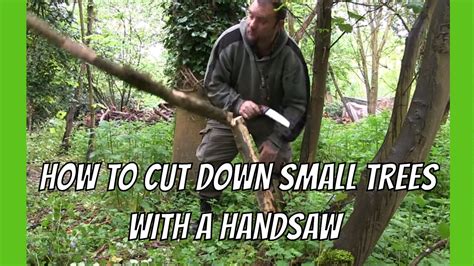 How To Cut Down A Small Tree Uk At Mark Cox Blog
