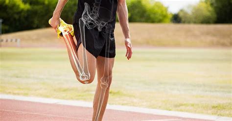 補鈣補骨？攝取過多鈣質或有反效果增風濕、心血管病風險？2類人士較難吸收鈣！補充2大營養＋負重運動練出好骨頭 嘉‧點健康 醫學通識 健康好人生 Etnet 經濟通香港新聞財經