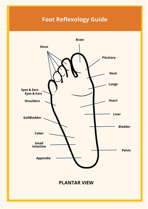 Free Reflexology Chart Templates Editable And Printable