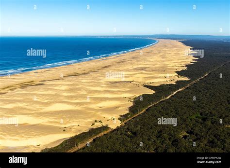 Aerial View Of Sand Dunes Along The Coast At Worimi Regional Park