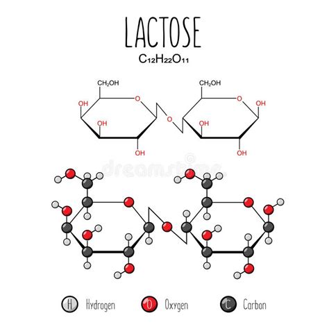 Lactose Linear Structure