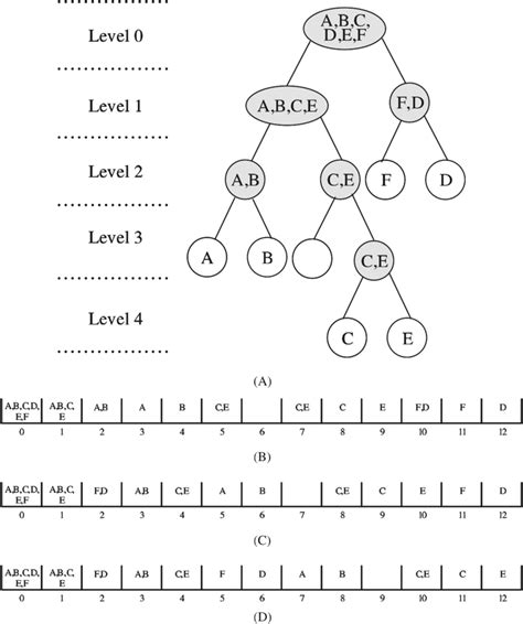 a possible collision resolution process of tree algorithm with q 2