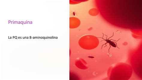 Primaquina Farmacologia Y Aplicaciones Clinicas Lizeth Udocz