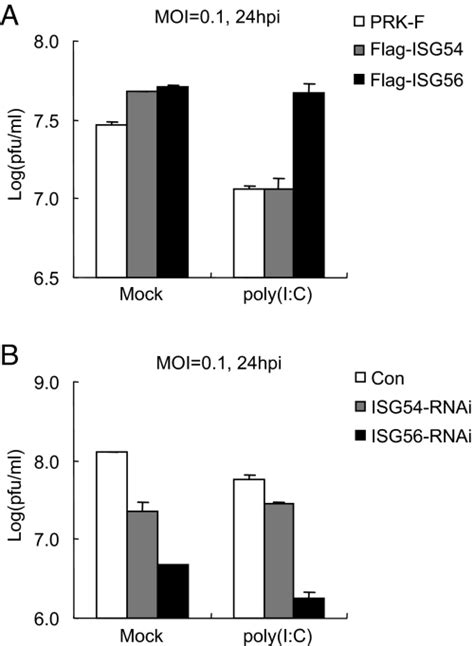 Isg56 Is A Negative Feedback Regulator Of Virus Triggered Signaling And