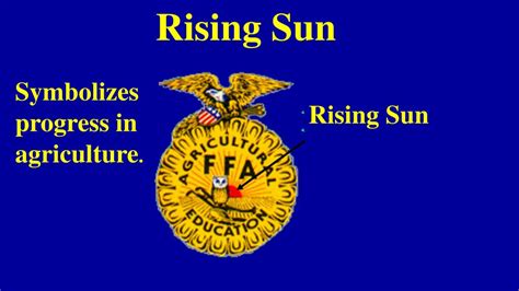 Ppt History Of The Ffa Powerpoint Presentation Free Download Id