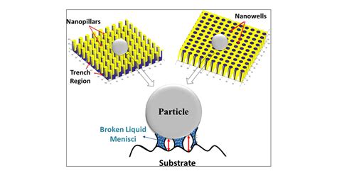 Modulation Of The Capillary Force Profile At The Solidsolid Interface Through Topographical