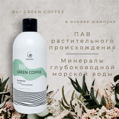 Biodanika Шампунь C кофеином и гиалуроновой кислотой Bui Green Coffee
