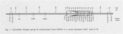 Environment Can Affect The Placement Of Discrete Traits On Genetic Maps