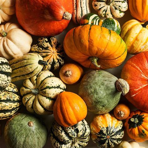 Is Pumpkin A Fruit Or Vegetable Parade