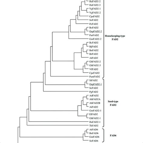 Pdf The Fad2 Gene In Plants Occurrence Regulation And Role