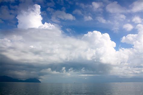 Malaysia Search For Wild Wildlife Photography By Sami Kizilbash