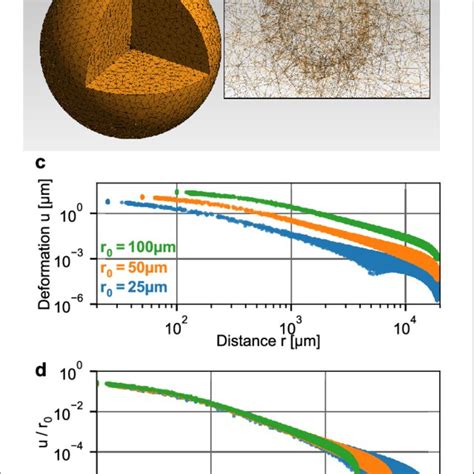 Simulation Of A Spherical Inclusion In Collagen A Illustration Of