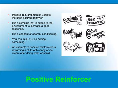 Punishment Reinforcement Odp