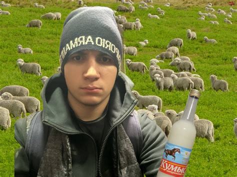 Создать мем овцы на пастбище овчарня для овец разведение овец Картинки Meme