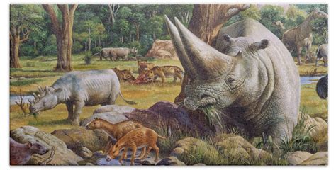 Cenozoic Era Landscape
