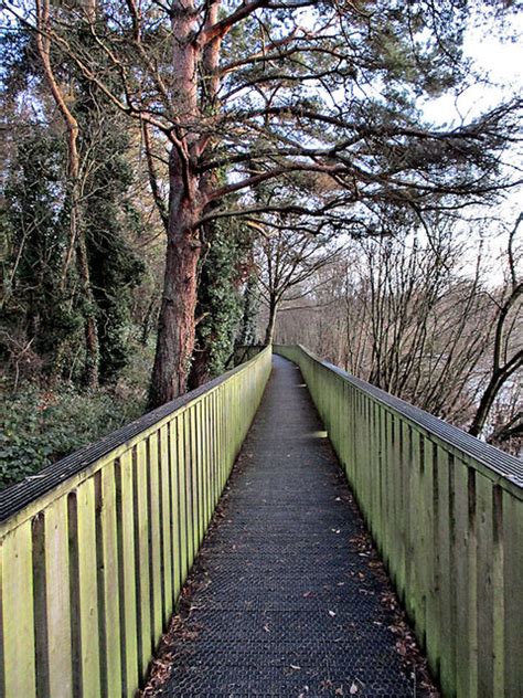 Board Walk © Kevin Higgins Geograph Ireland