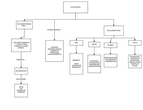 Mapa De Reacoes De Quimica Organica