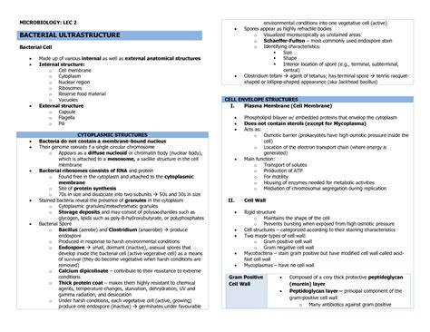Solution Microbiology Bacterial Ultrastructure Studypool