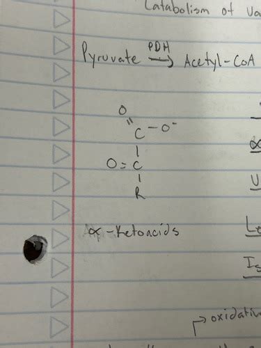 Biochem Lecture Notes Final Exam 1 Flashcards Quizlet