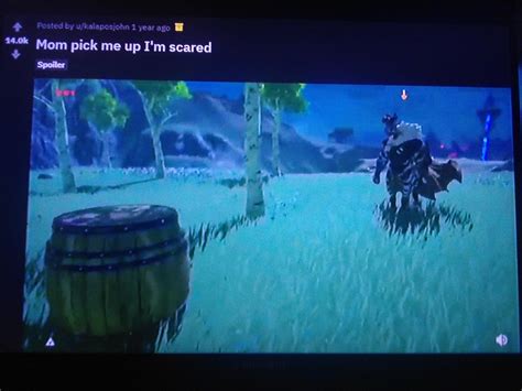 R I P R Botw