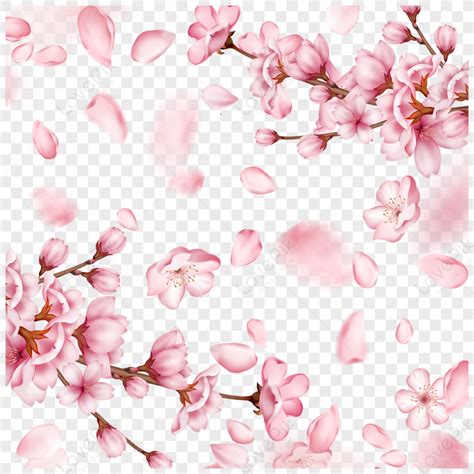 봄 일러스트 조명 효과 분홍색 벚꽃 꽃잎 떨어지는 테두리 일본 Png 일러스트 무료 다운로드 Lovepik