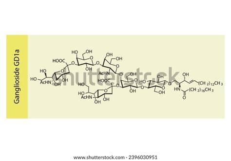 Molecular Structure Diagram Ganglioside Gd1a Disialogangliosidegd1a