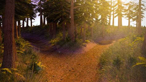 Wade Morrison Forest