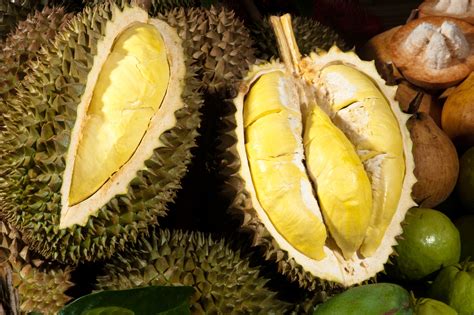 How To Pick The Perfect Durian And Make The Most Out Of The Durian Season