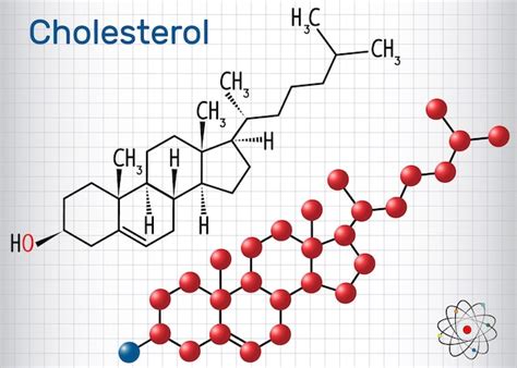 Molécula De Colesterol Fórmula Química Estrutural E Modelo De Molécula