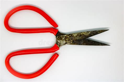 Red Scissors Isolated On White Background Stock Image Image Of Metal